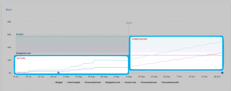 How to Calculate Project Burn Rate (With Best Practices)